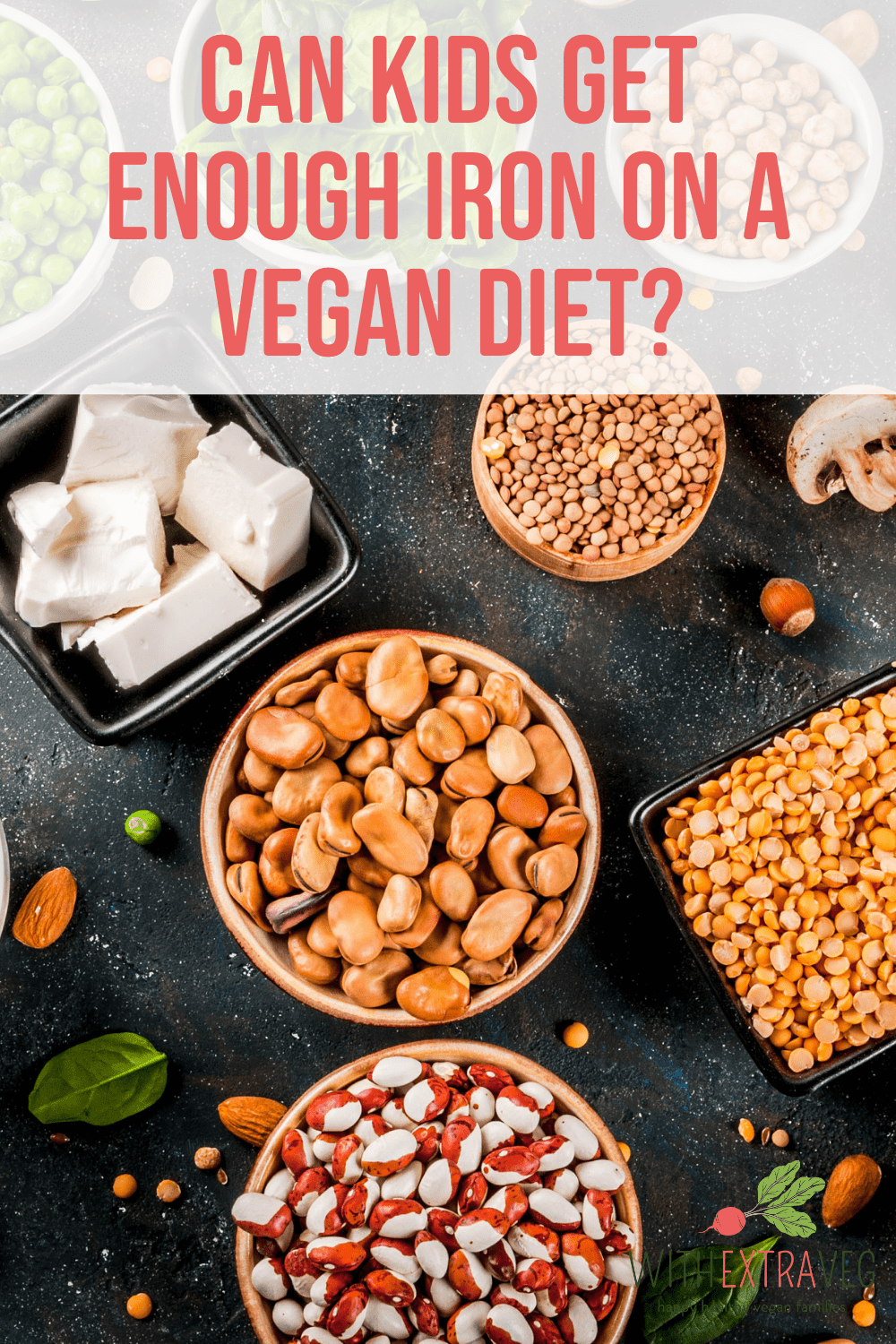 Can Kids Get Enough Iron on a Vegan Diet? - WithExtraVeg